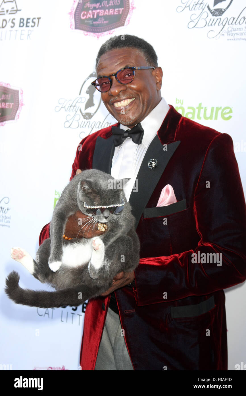 'A CATbaret!' A Celebrity Musical Celebration of the Alluring Feline ...