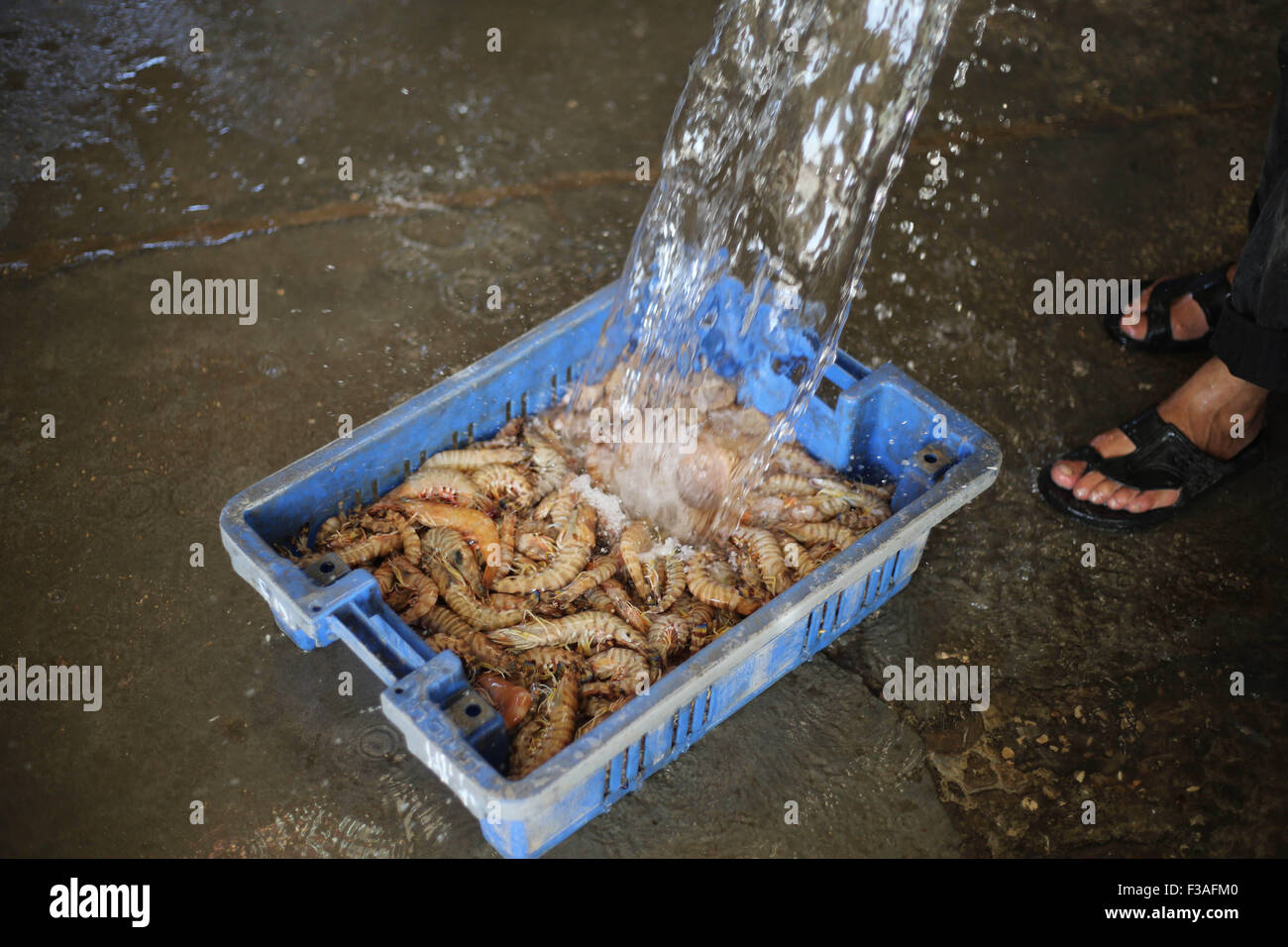 Gaza City, The Gaza Strip, Palestine. 2nd Oct, 2015. Palestinian worker ...