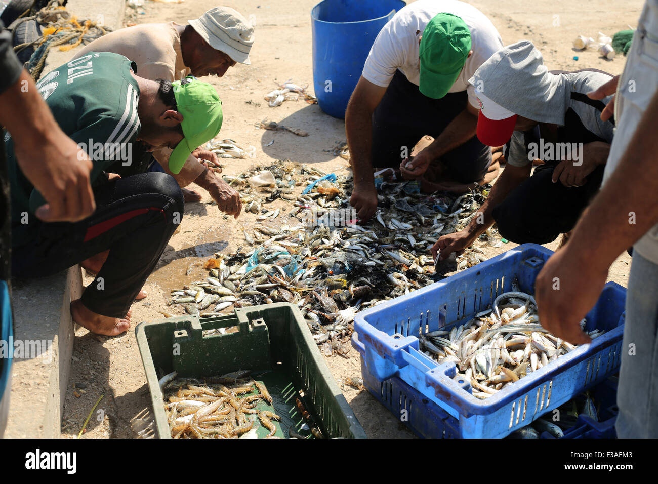 Gaza City, The Gaza Strip, Palestine. 2nd Oct, 2015. Palestinian ...