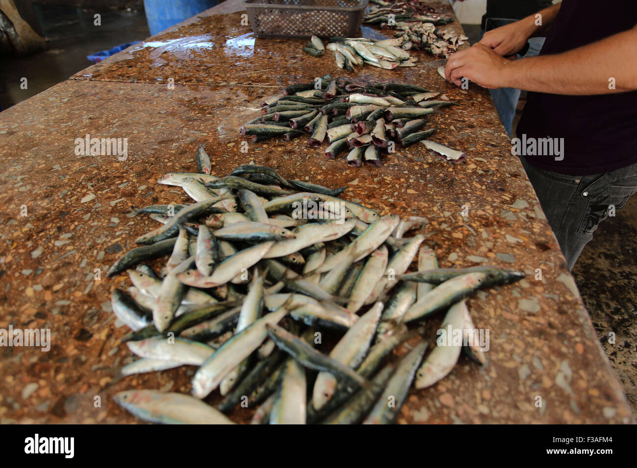 Gaza City, The Gaza Strip, Palestine. 2nd Oct, 2015. Palestinian worker ...