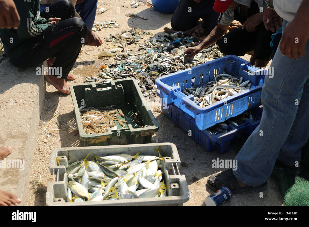 Gaza City, The Gaza Strip, Palestine. 2nd Oct, 2015. Palestinian ...