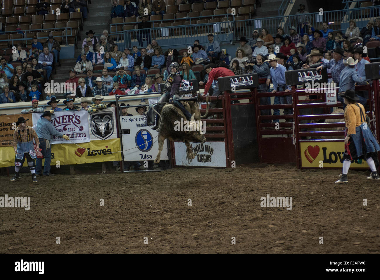 Cowboy riding bucking bull during rodeo in Oklahoma City, Oklahoma, USA ...