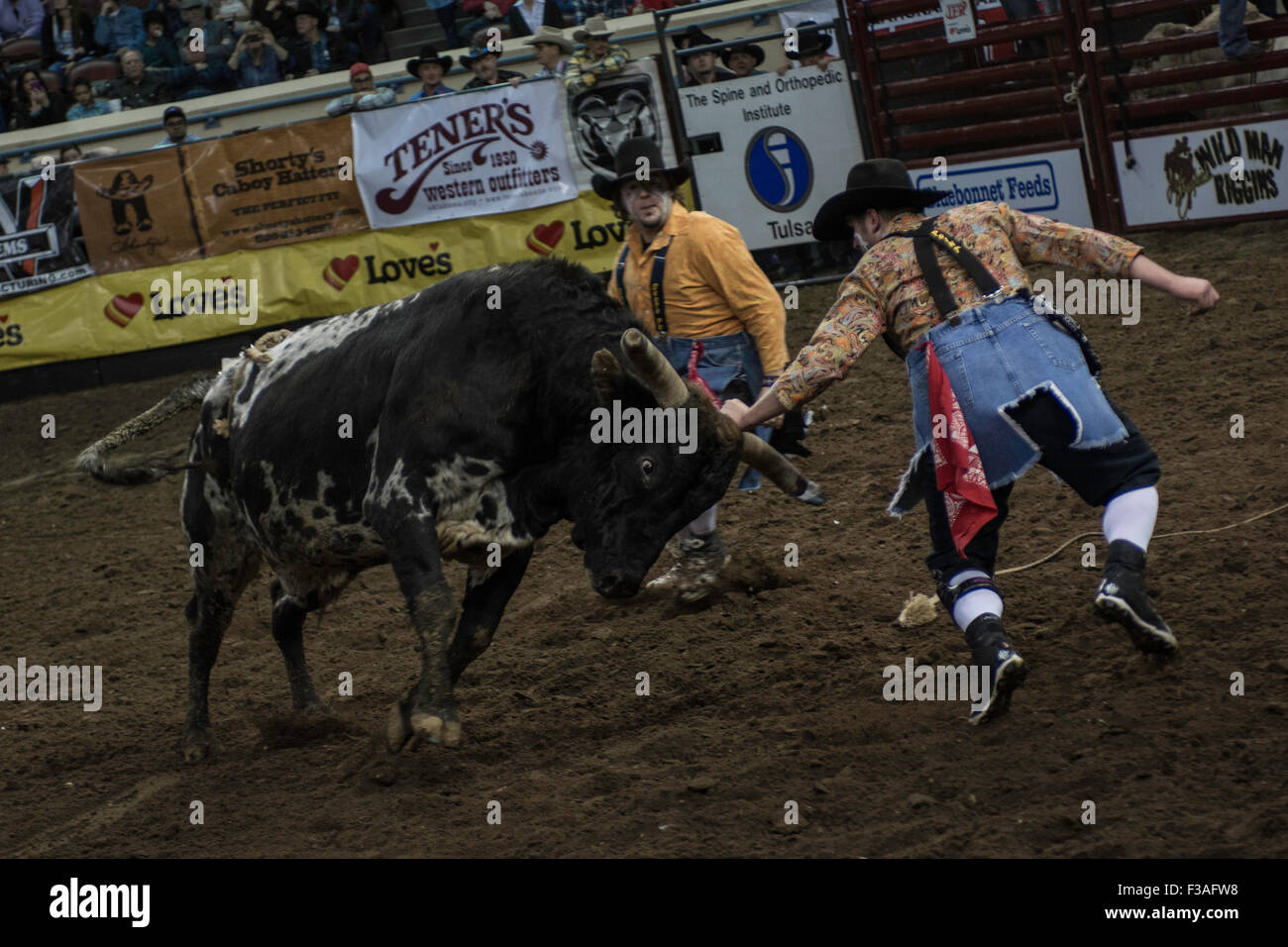 Cowboy Falling Off Bull High Resolution Stock Photography and Images ...