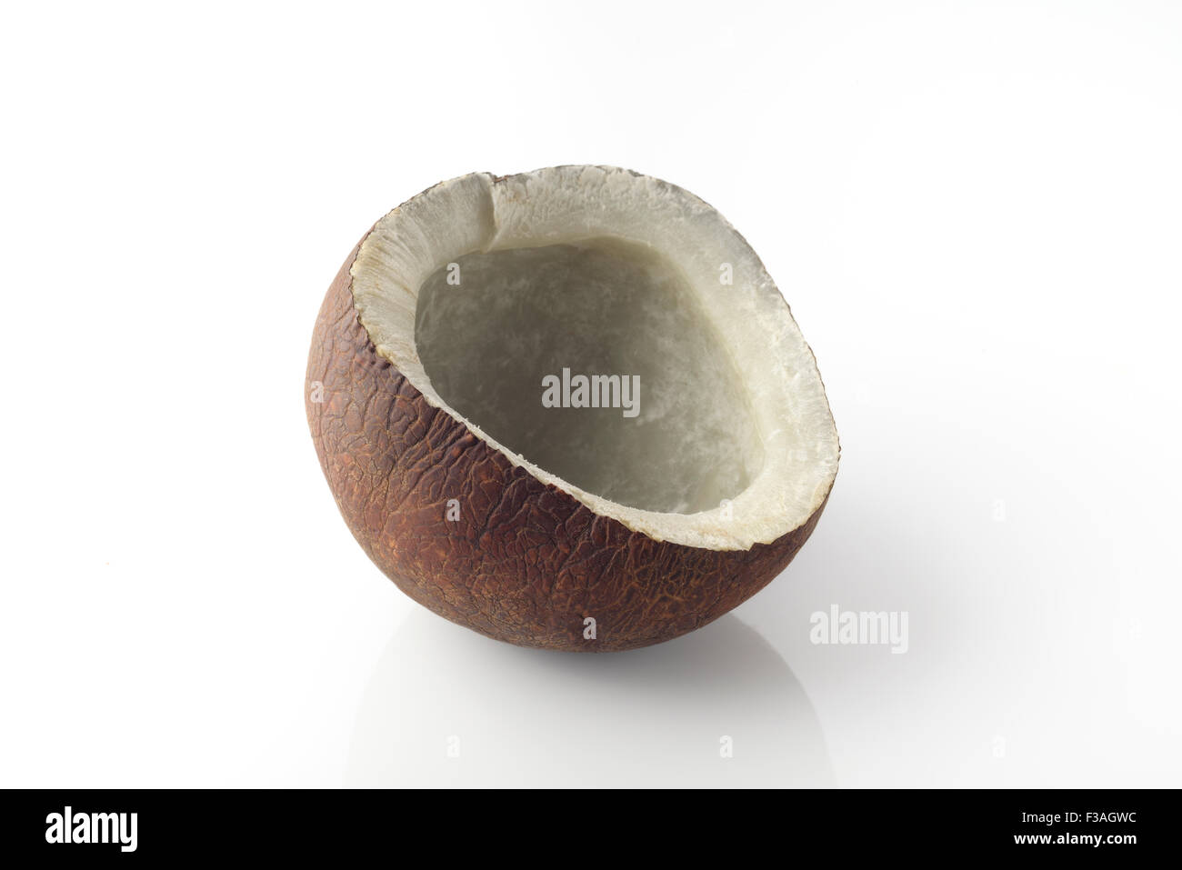 Coconut cross section hi-res stock photography and images - Alamy