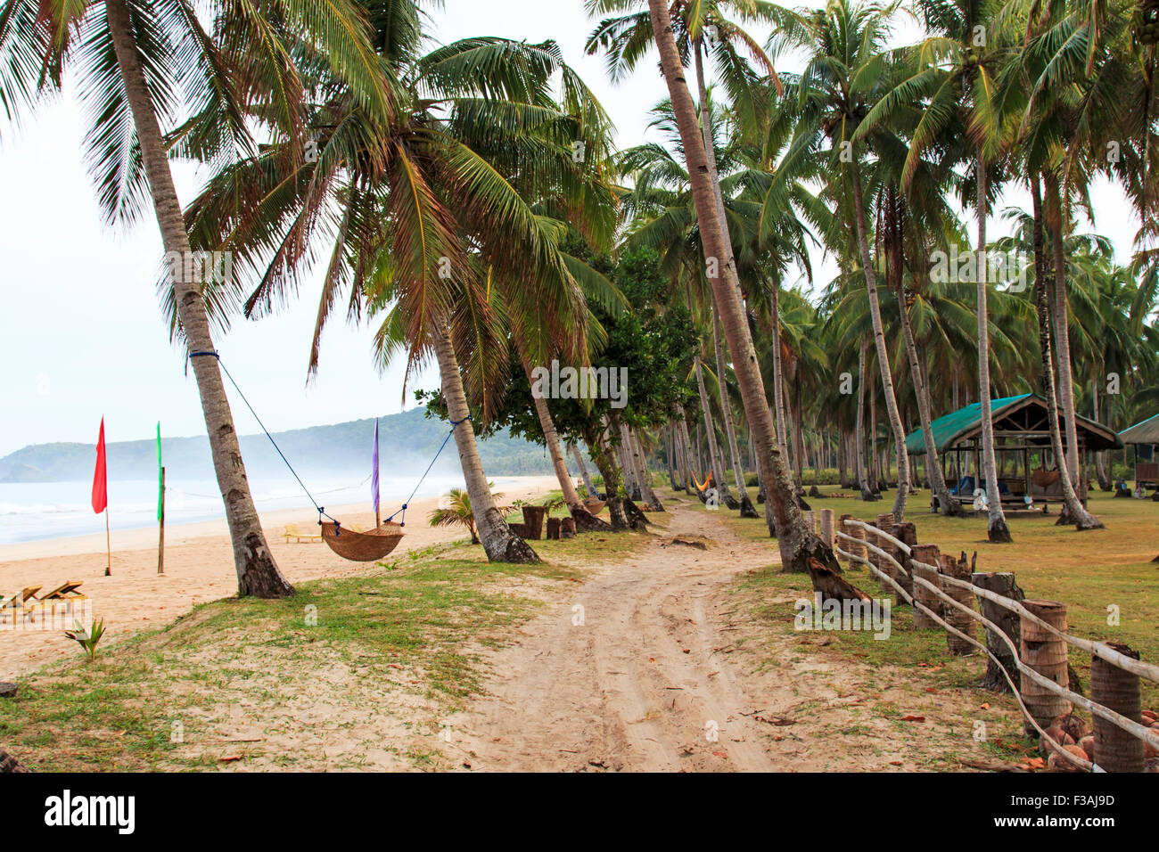 Tropical beach with coconut trees and hammocks Stock Photo - Alamy