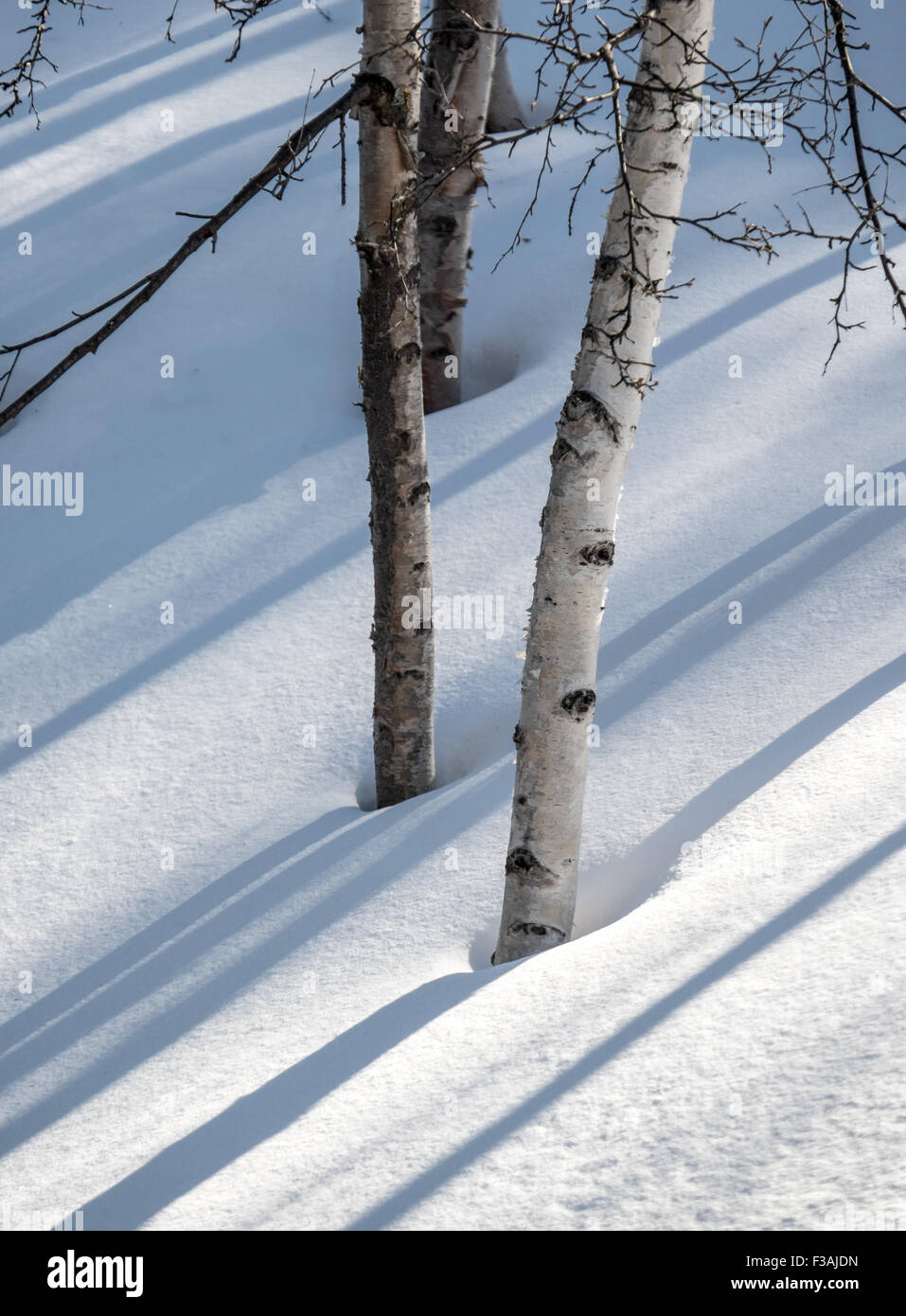 Norwegian winter scene hi-res stock photography and images - Alamy