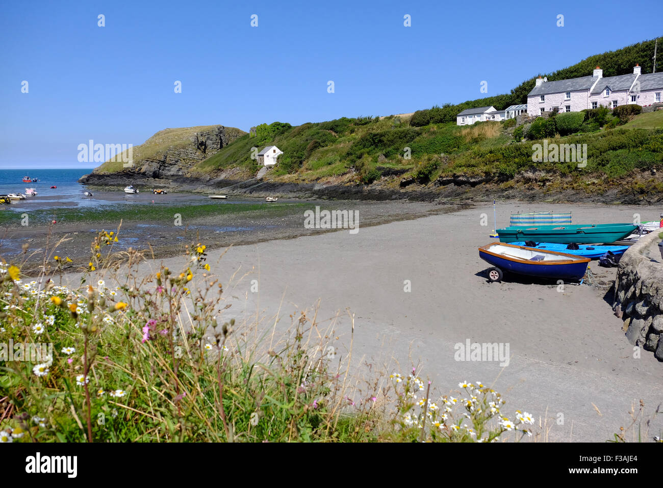 Coast Path Abercastle High Resolution Stock Photography and Images - Alamy