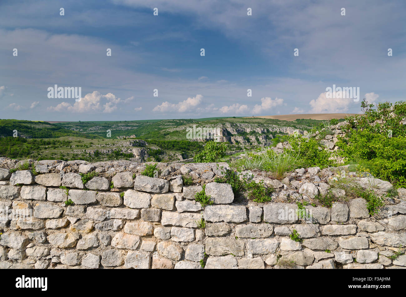 Ancient ruins of a medieval fortress close to the village of Cherven ...