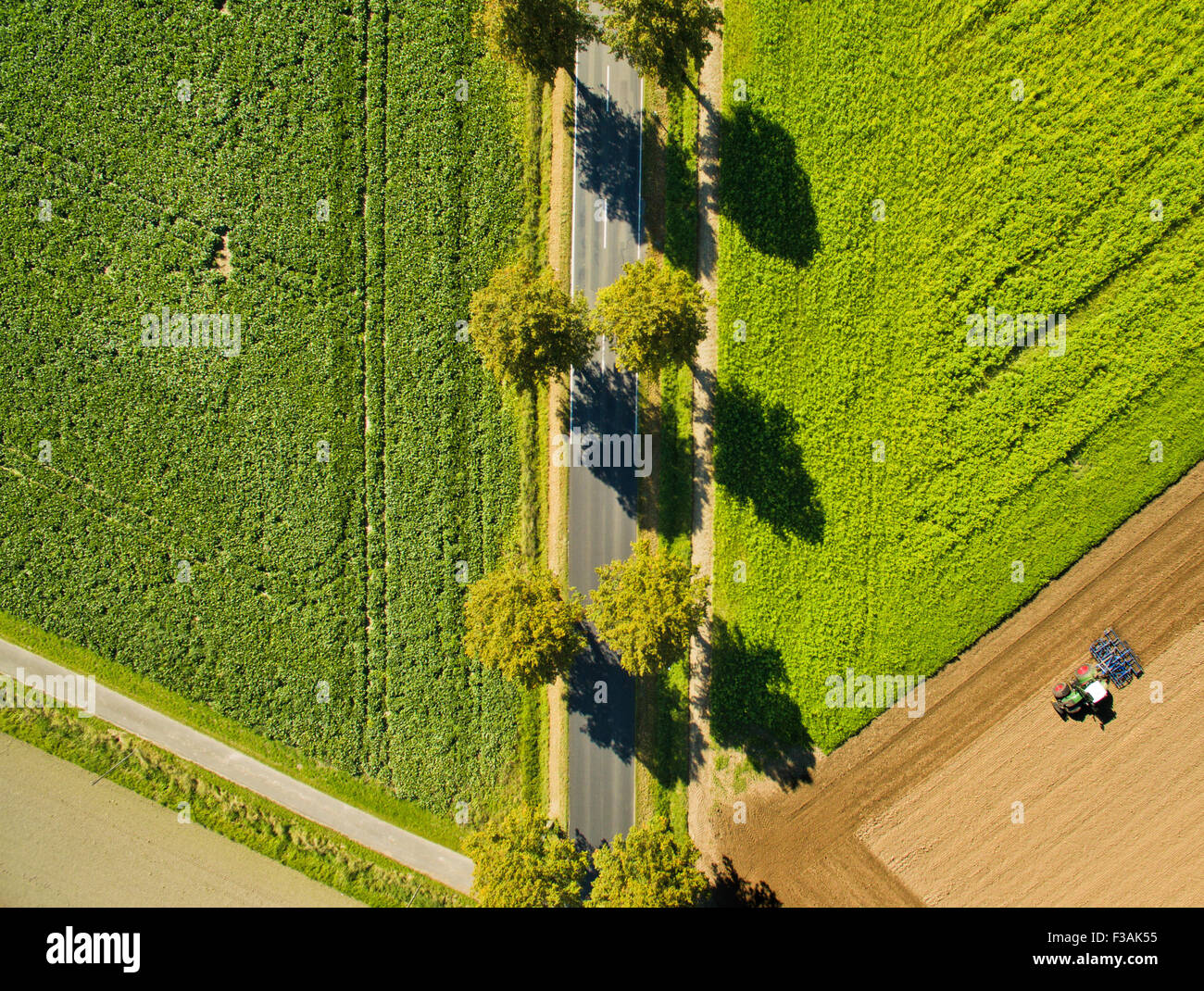 Schellerten hi-res stock photography and images - Alamy