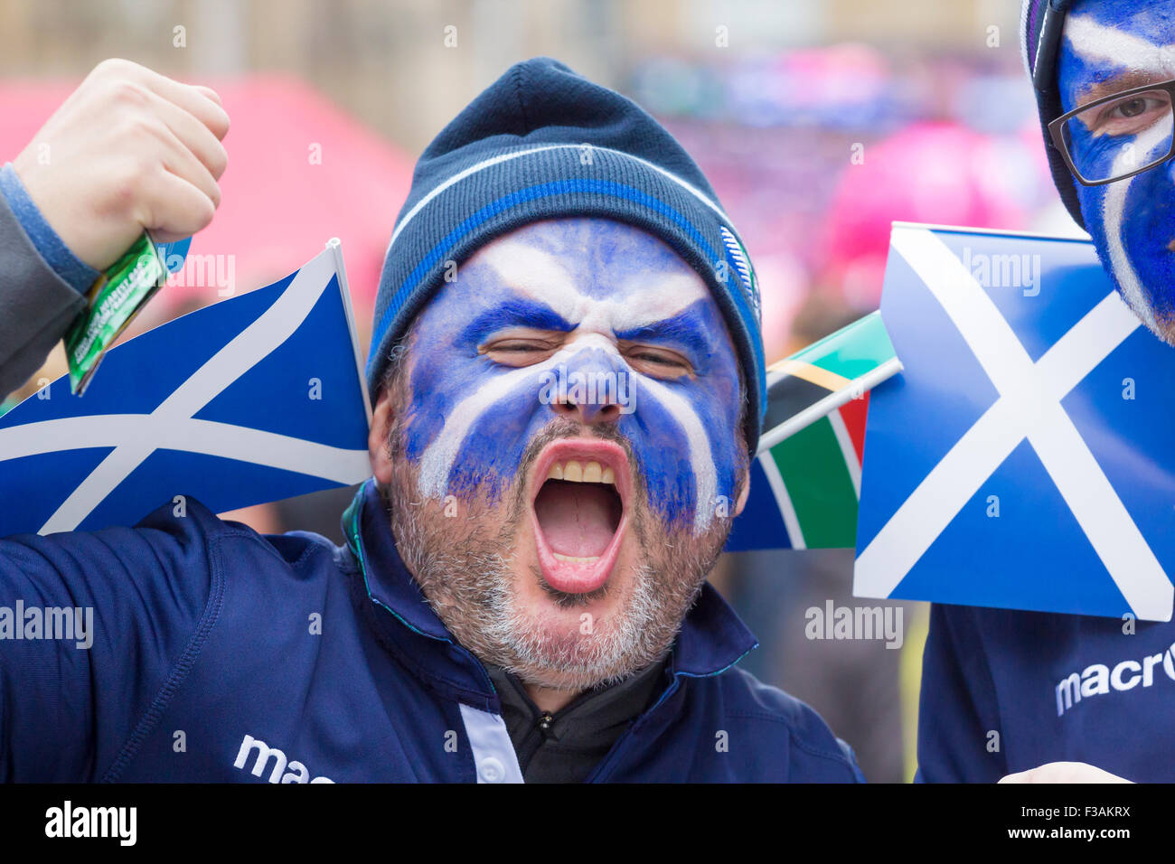 Scottish Fan High Resolution Stock Photography and Images - Alamy