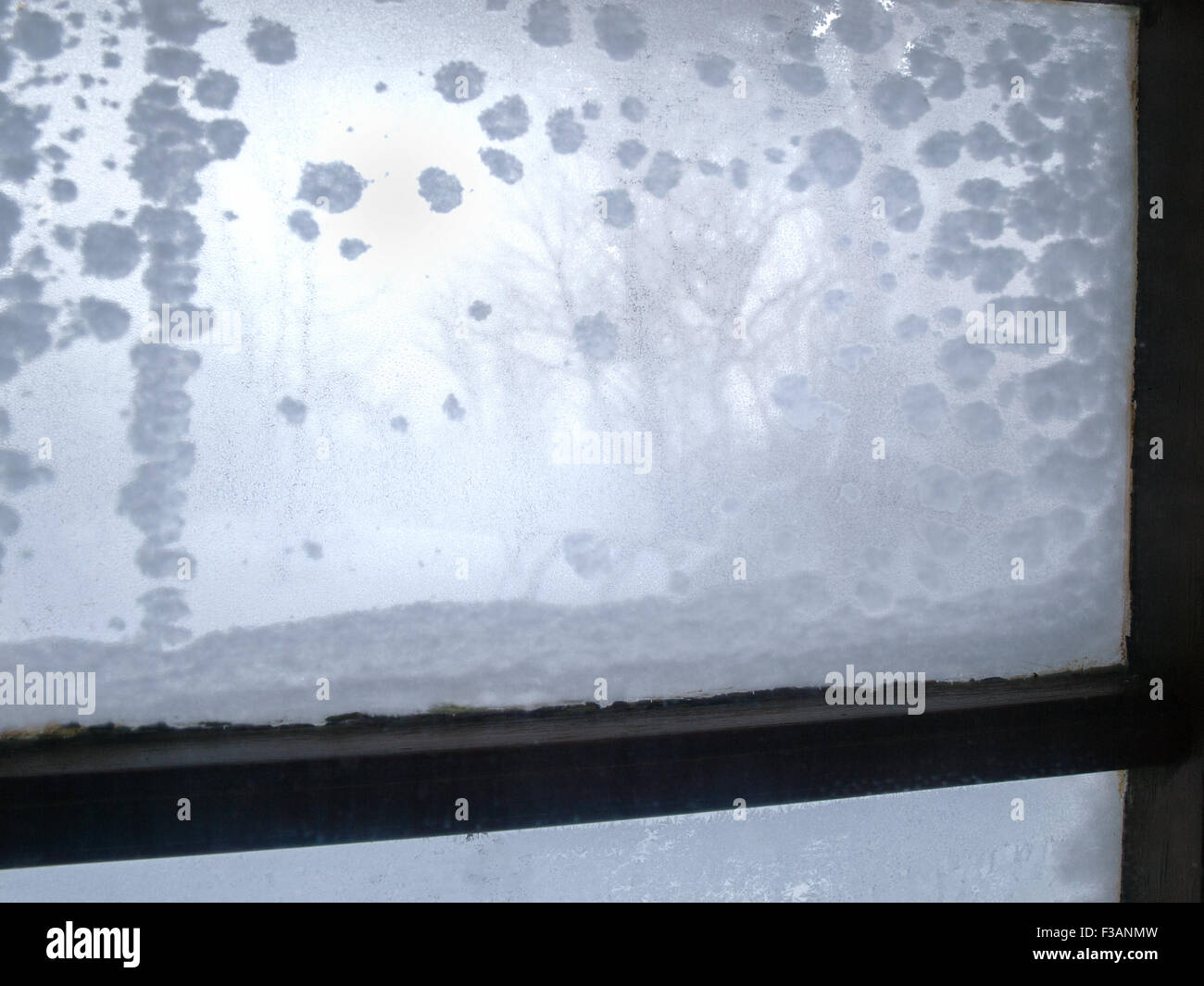 Looking through a snow covered cabin window towards woods outside ...