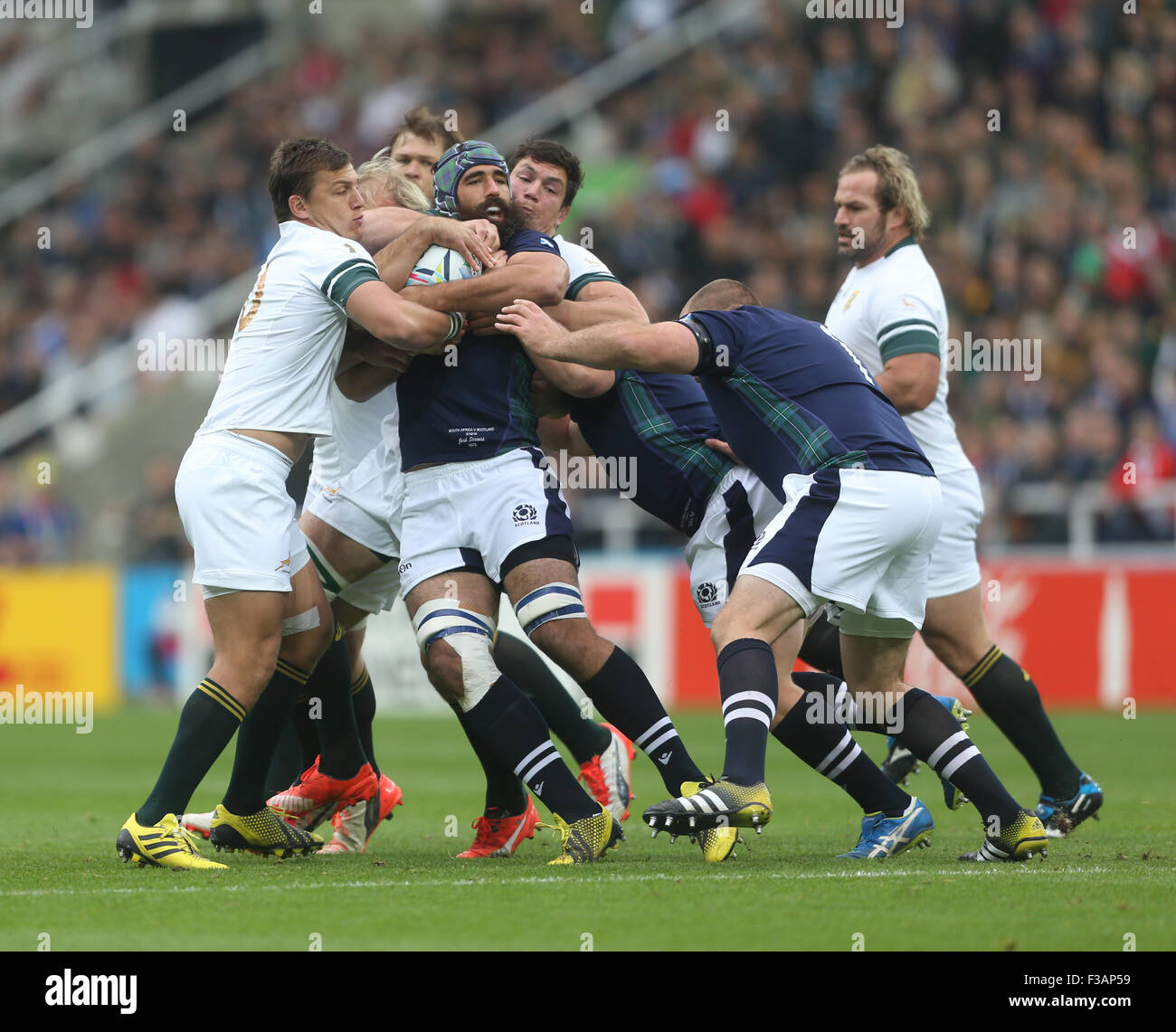 Josh strauss scotland rugby hi-res stock photography and images - Alamy