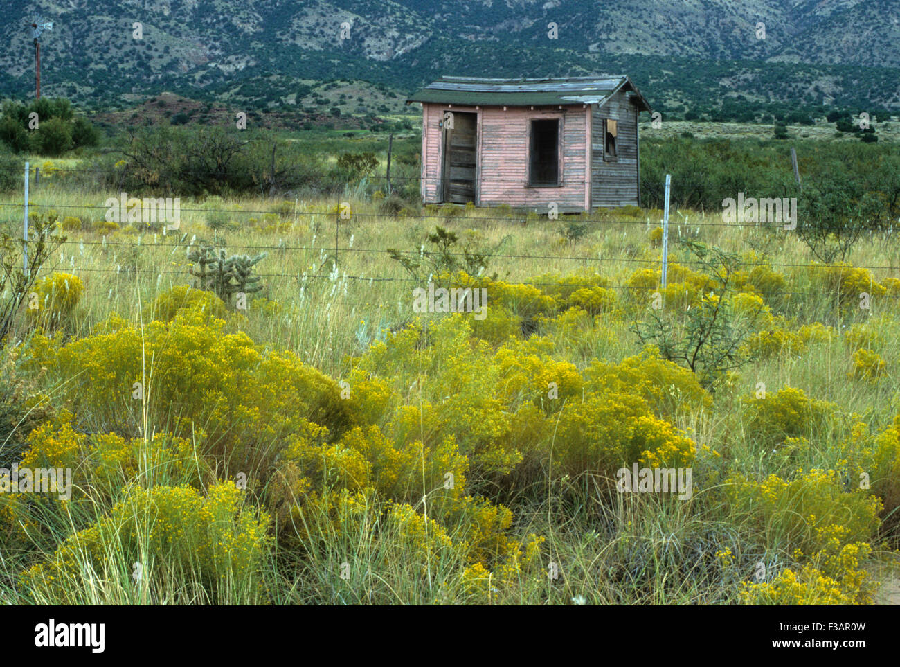 Pink Montana shack Stock Photo - Alamy