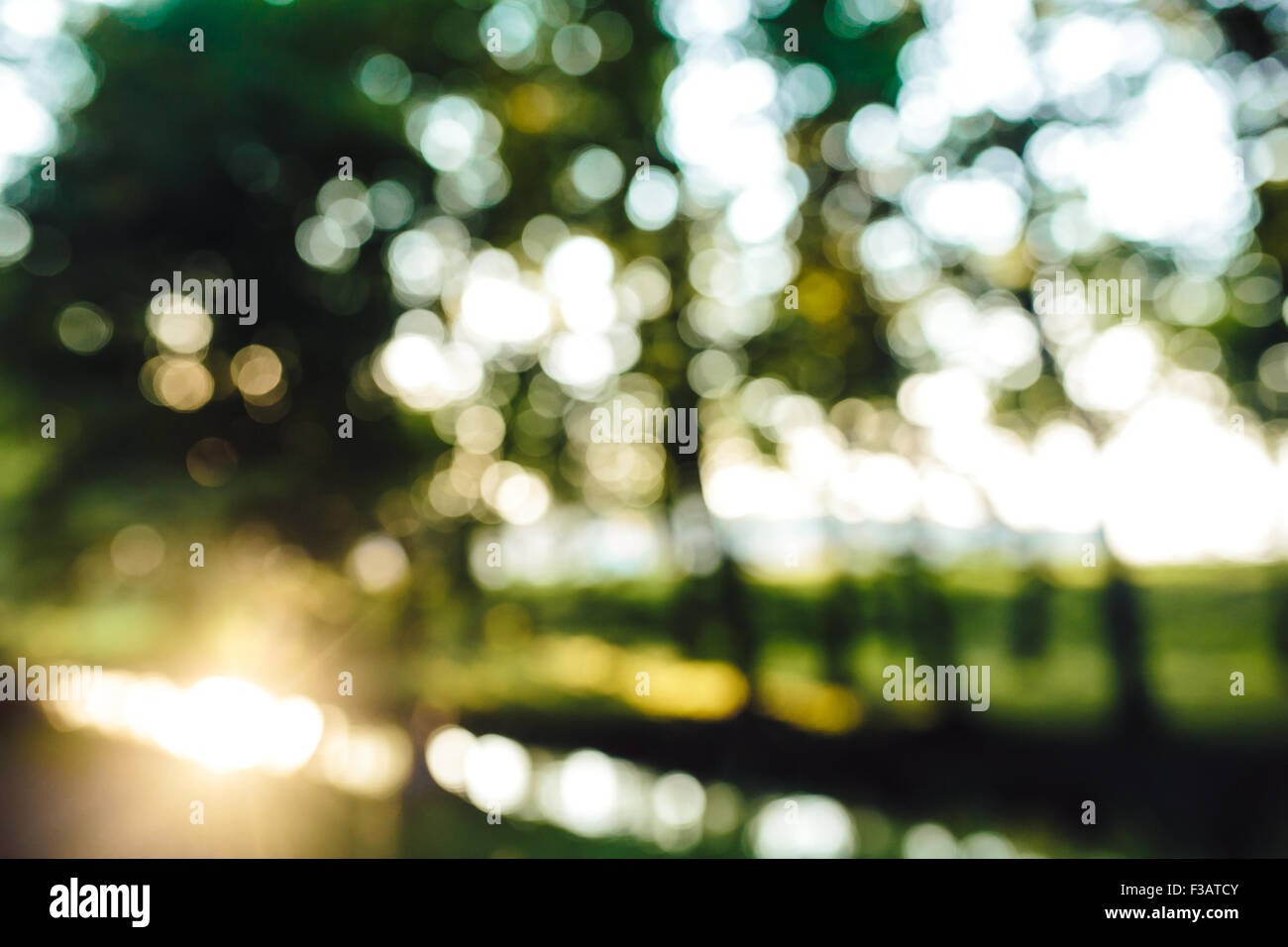 Photo forest landscape is not in focus Stock Photo - Alamy