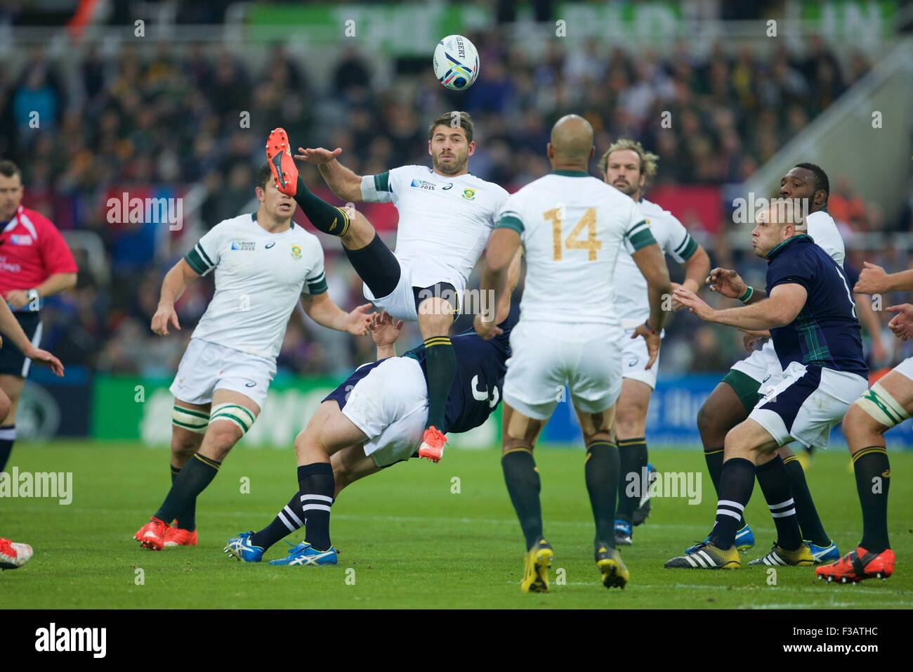 Jp pietersen world cup hi-res stock photography and images - Alamy