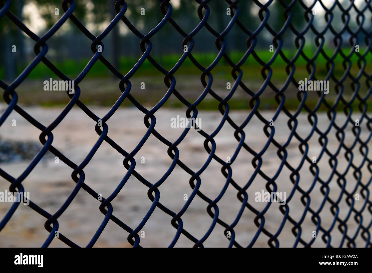 Beautiful natural object photograph, it can be used for any kind of ...