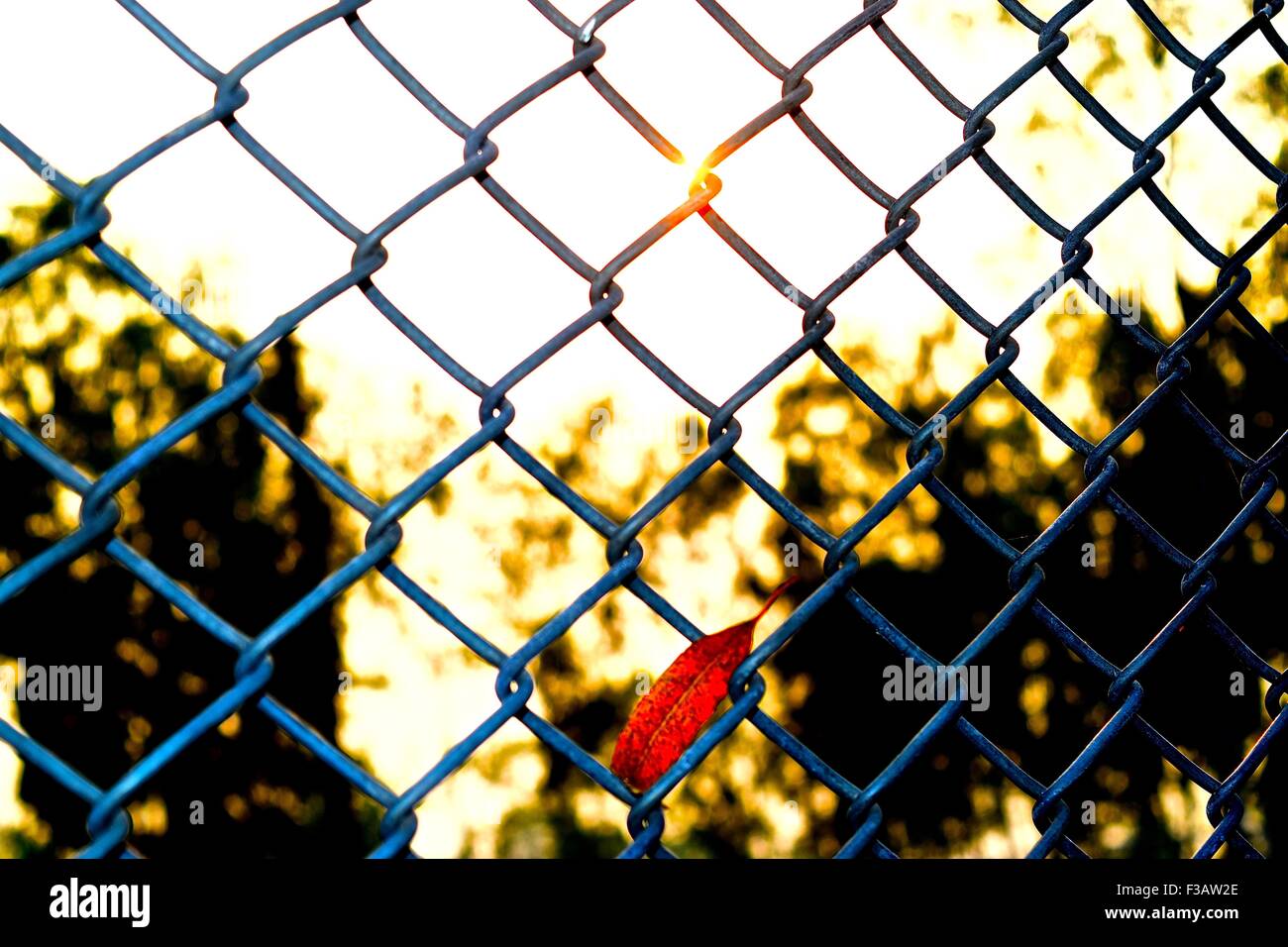 Promotional purpose hi-res stock photography and images - Alamy