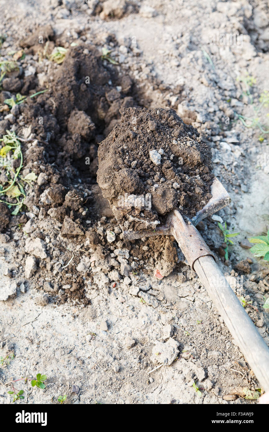 Digging trench garden hi-res stock photography and images - Alamy