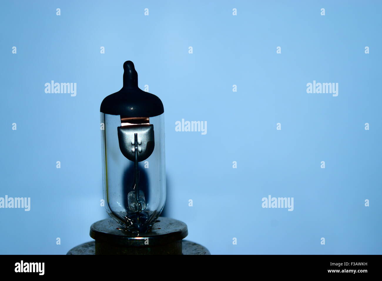 Beautiful halogen bulb with white background photograph, especial ...