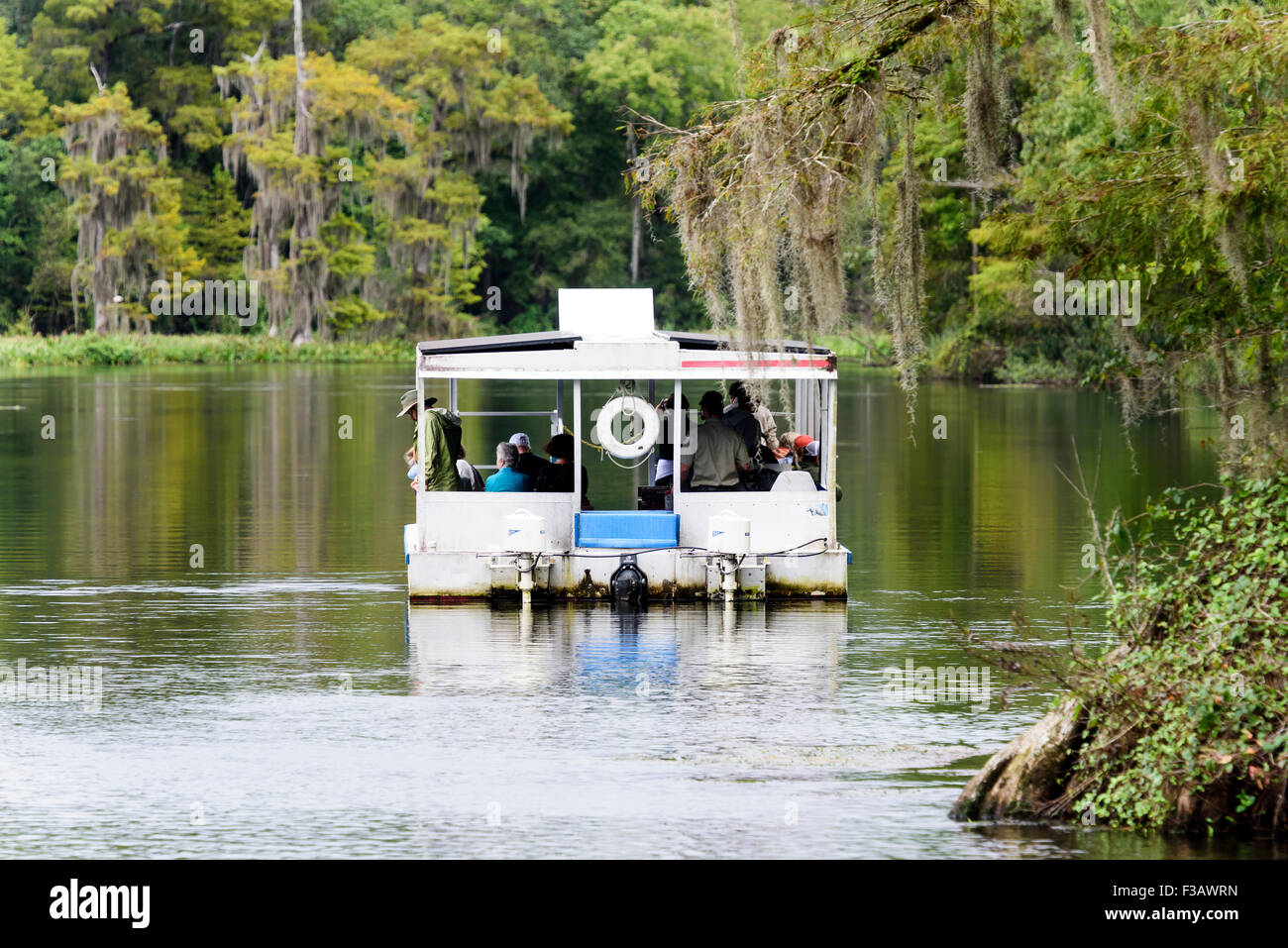 Swamp boat hi-res stock photography and images - Alamy