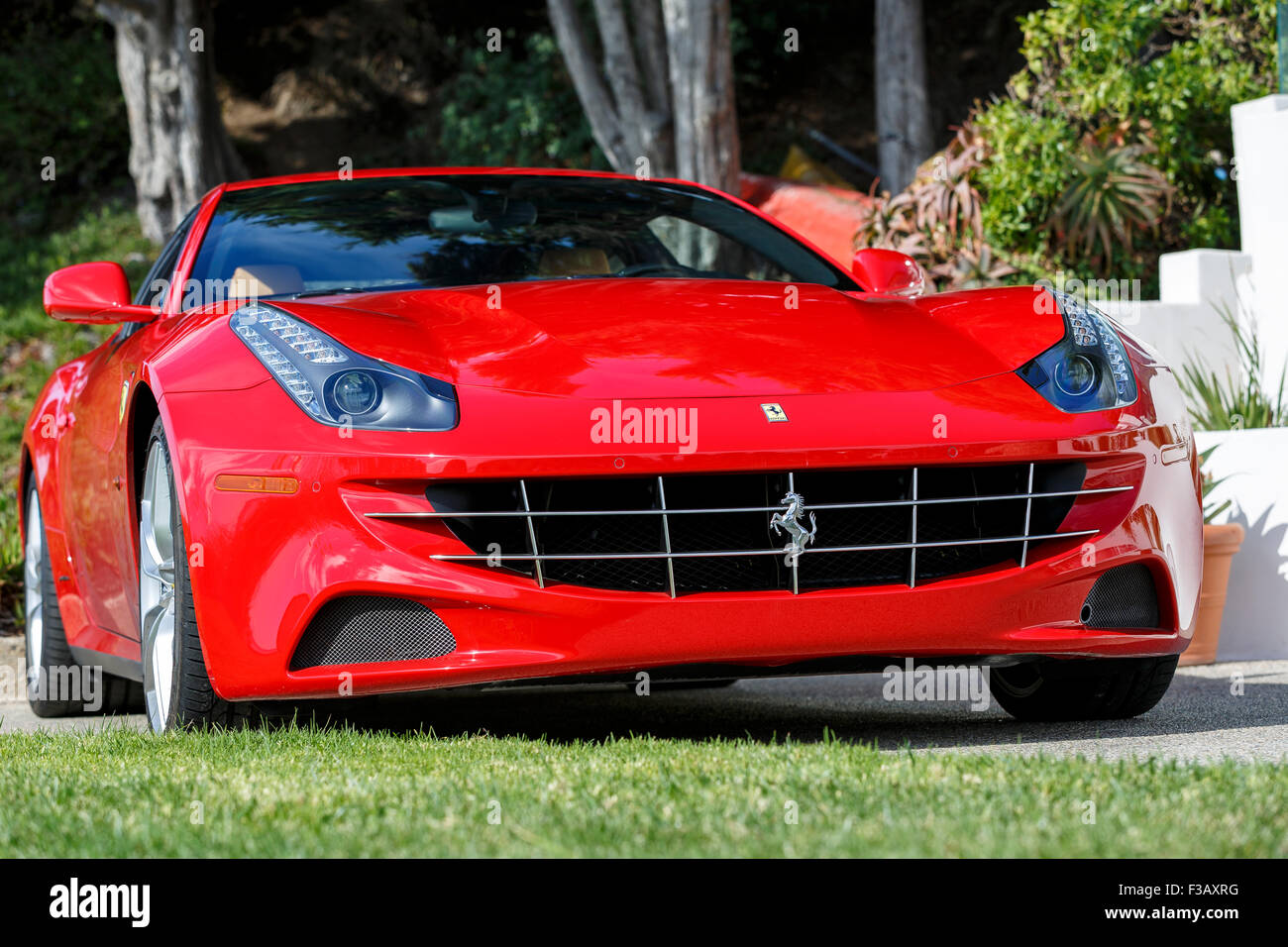 Ff High Resolution Stock Photography and Images - Alamy