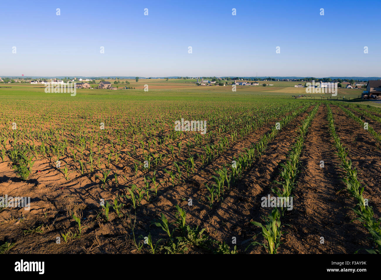 Wide grain field farms hi-res stock photography and images - Alamy