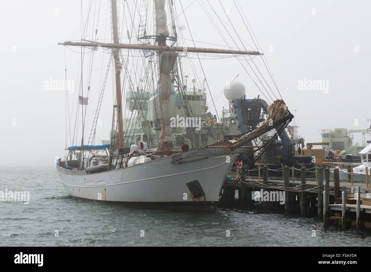 The Corwith Cramer brigantine tall ship alongside in the mist Woods ...