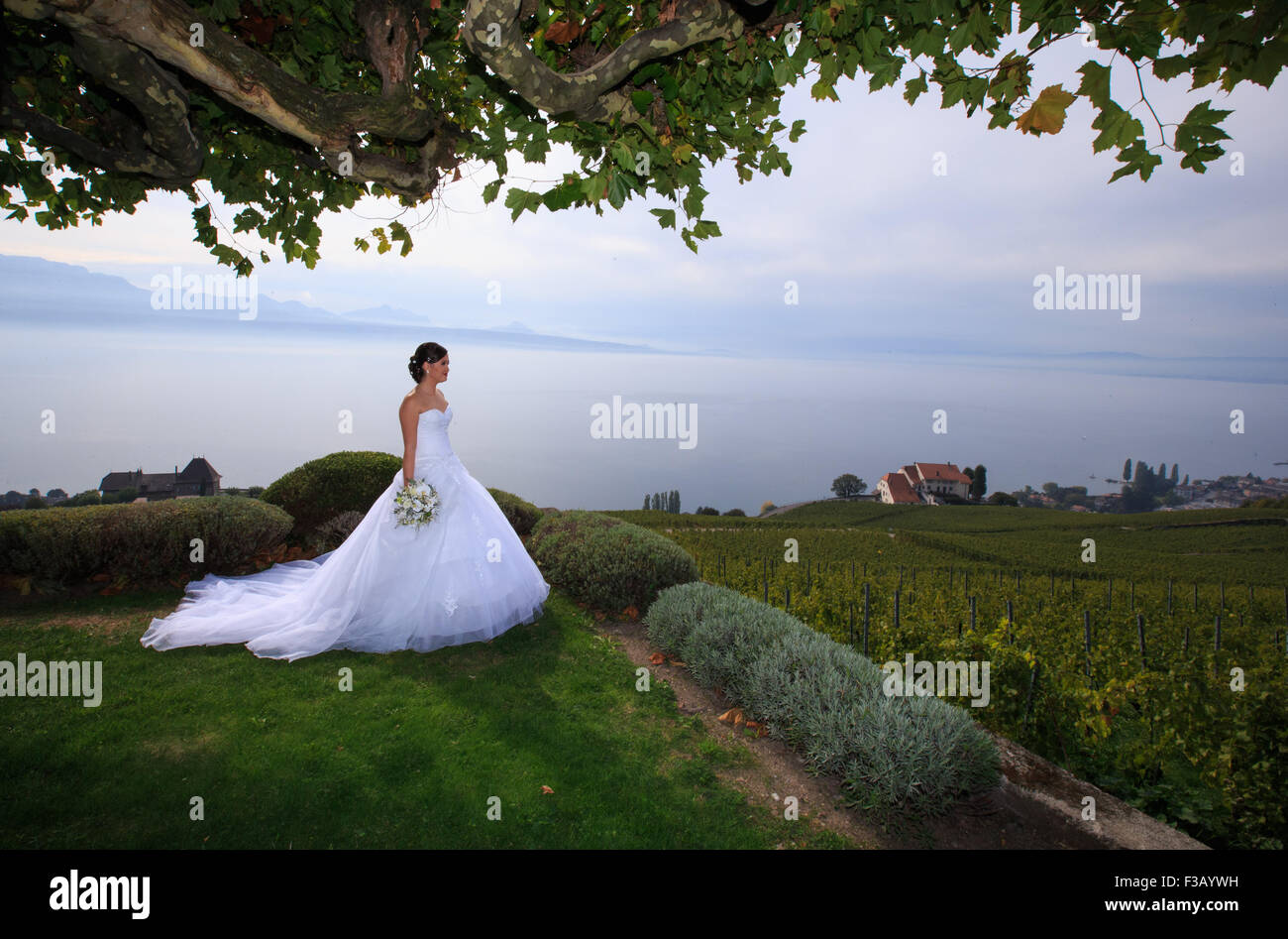 Sicne hi-res stock photography and images - Alamy