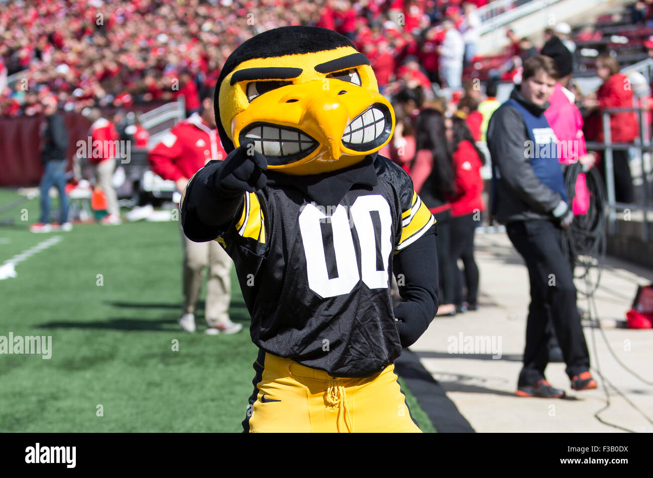 Madison, WI, USA. 3rd Oct, 2015. Iowa mascot during the NCAA Football ...