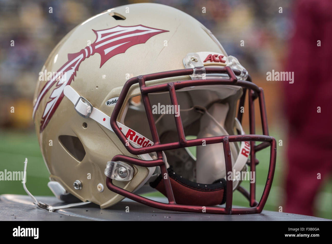 Florida State University Football Helmet