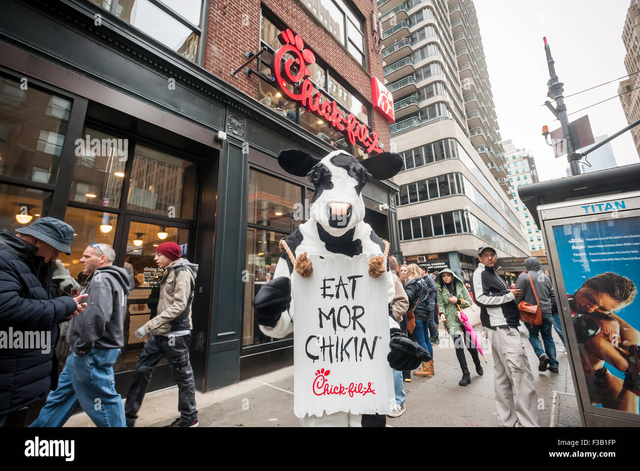 New York, USA. 3rd October, 2015. The cow mascot outside of the Chick ...