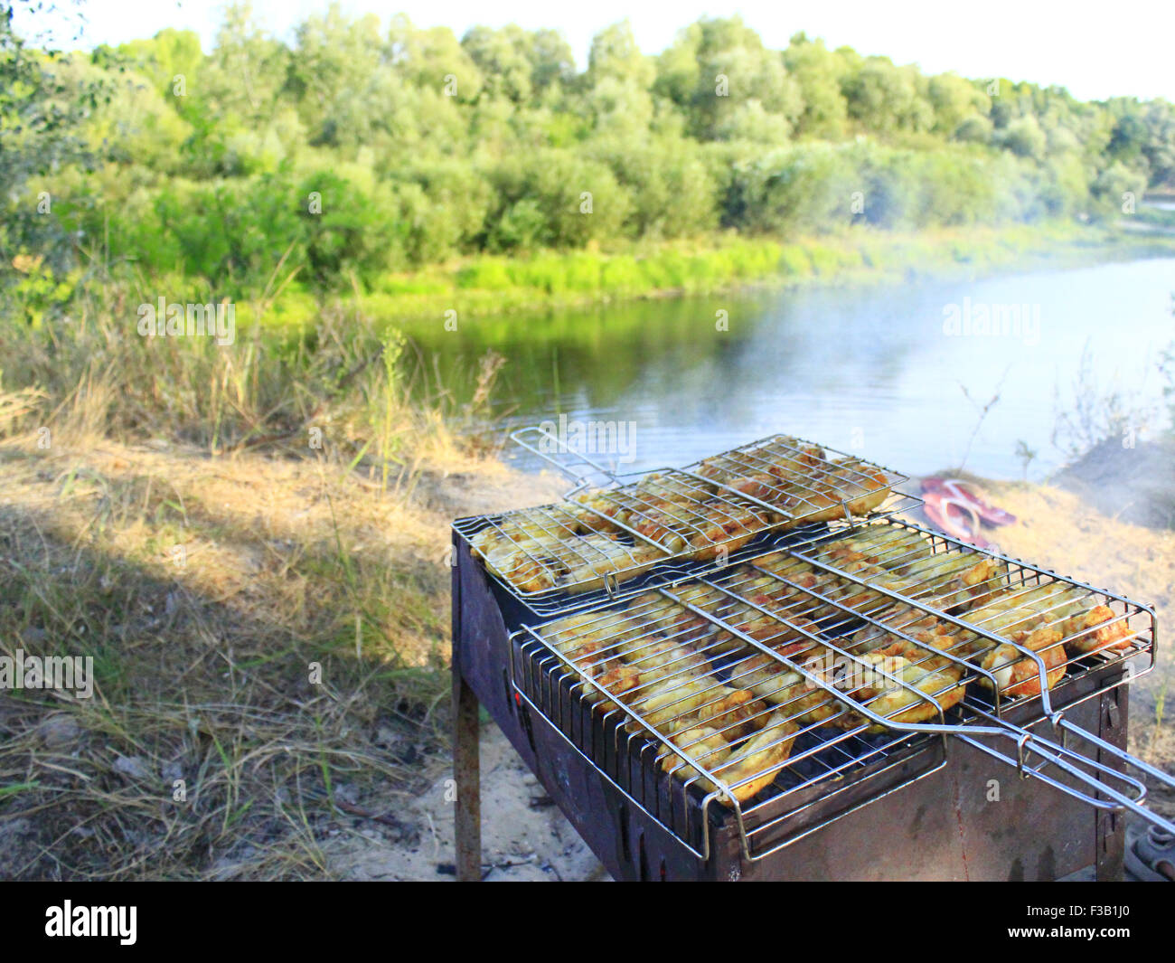 appetizing barbecue from hen's meat cooked in the nature Stock Photo ...
