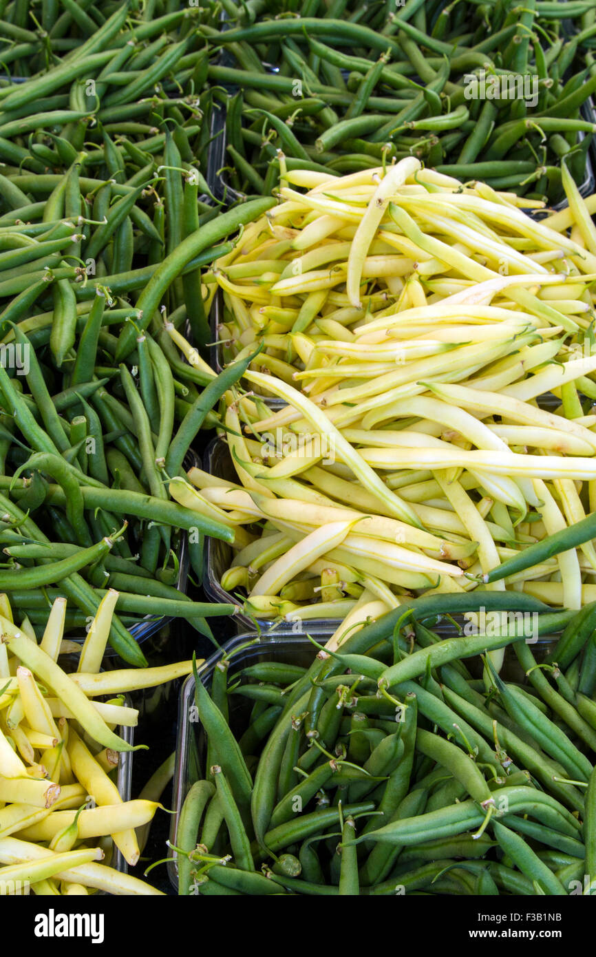 Bins of yellow and green string beans Stock Photo - Alamy
