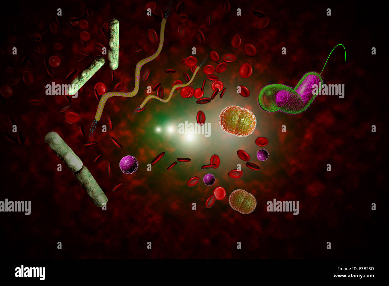 3D microscope close up of many bacteria floating around in bloodstream ...