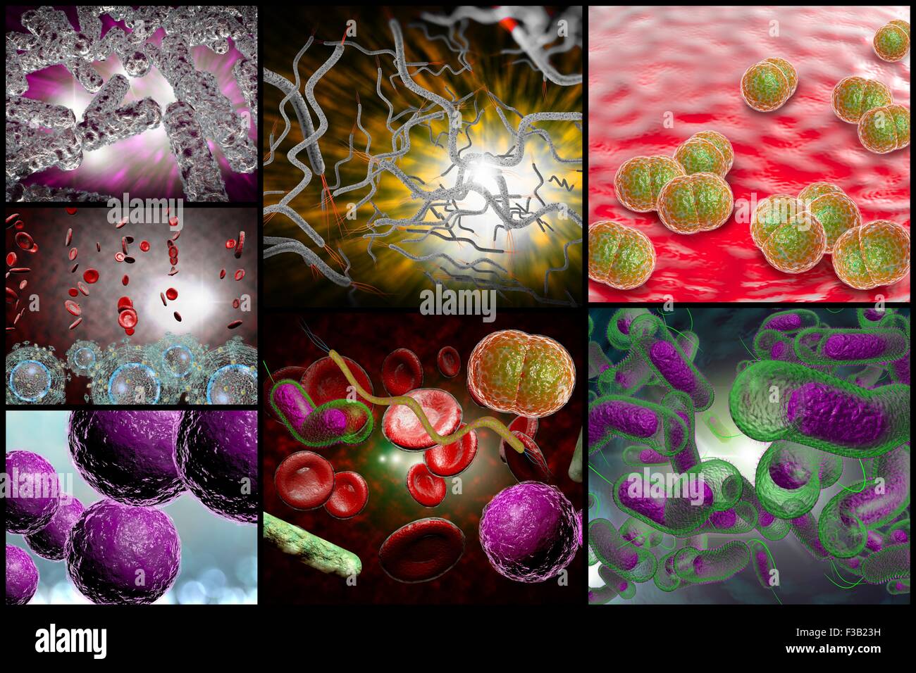 3D microscope close up of various bacteria in collage imagery Stock ...