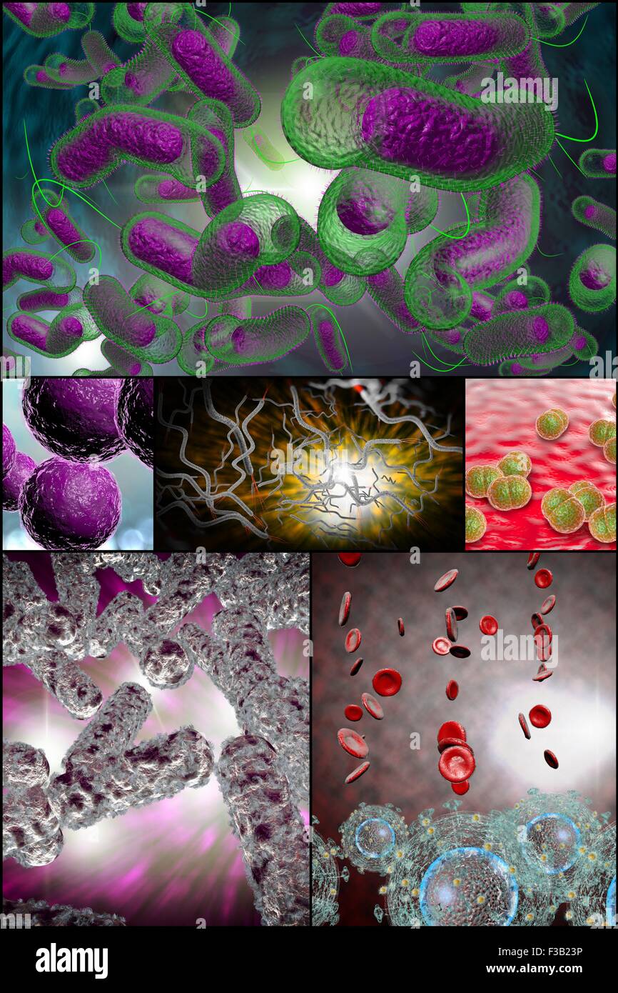 3D microscope close up of various bacteria in collage imagery Stock ...
