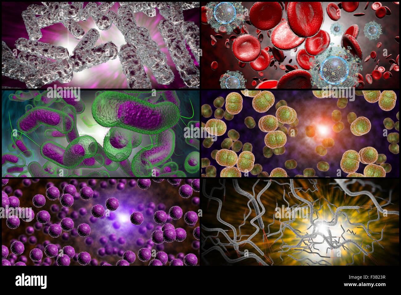 3D microscope close up of various bacteria in collage imagery Stock ...