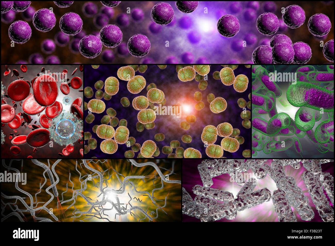 3D microscope close up of various bacteria in collage imagery Stock ...