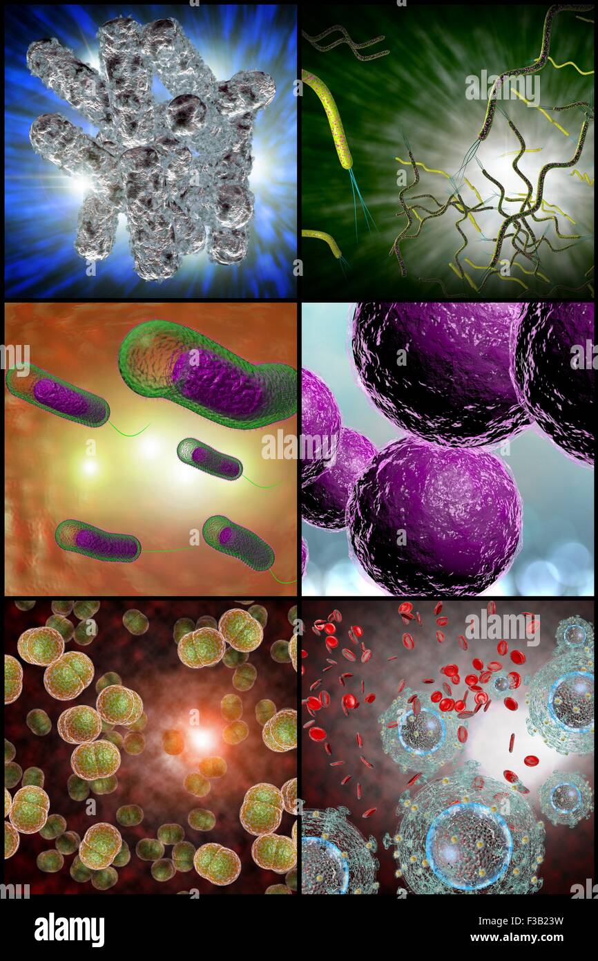3D microscope close up of various bacteria in collage imagery Stock ...
