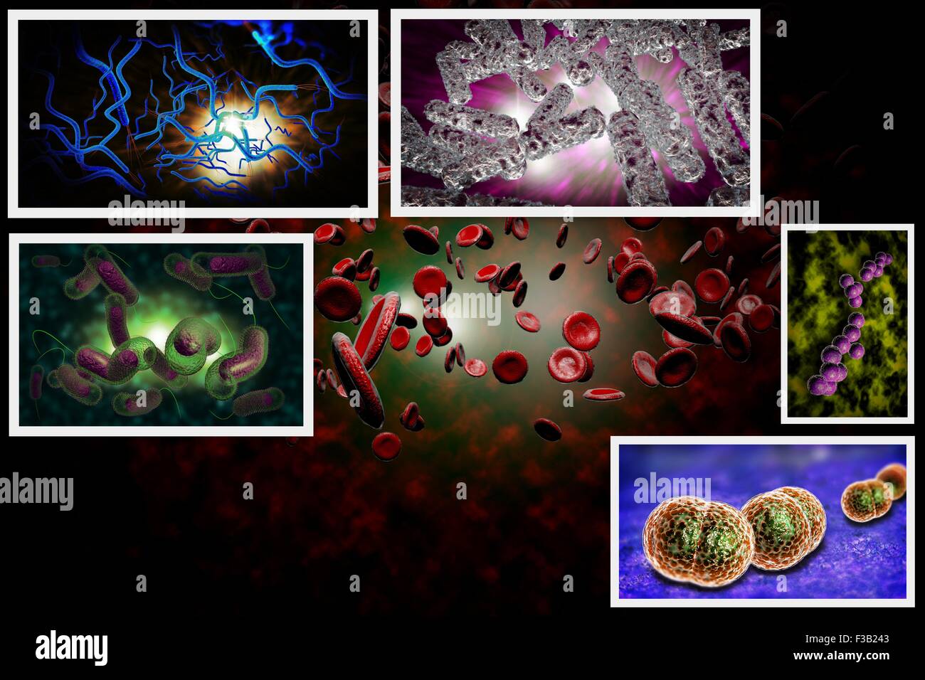 3D microscope close up of various bacteria in collage imagery Stock ...