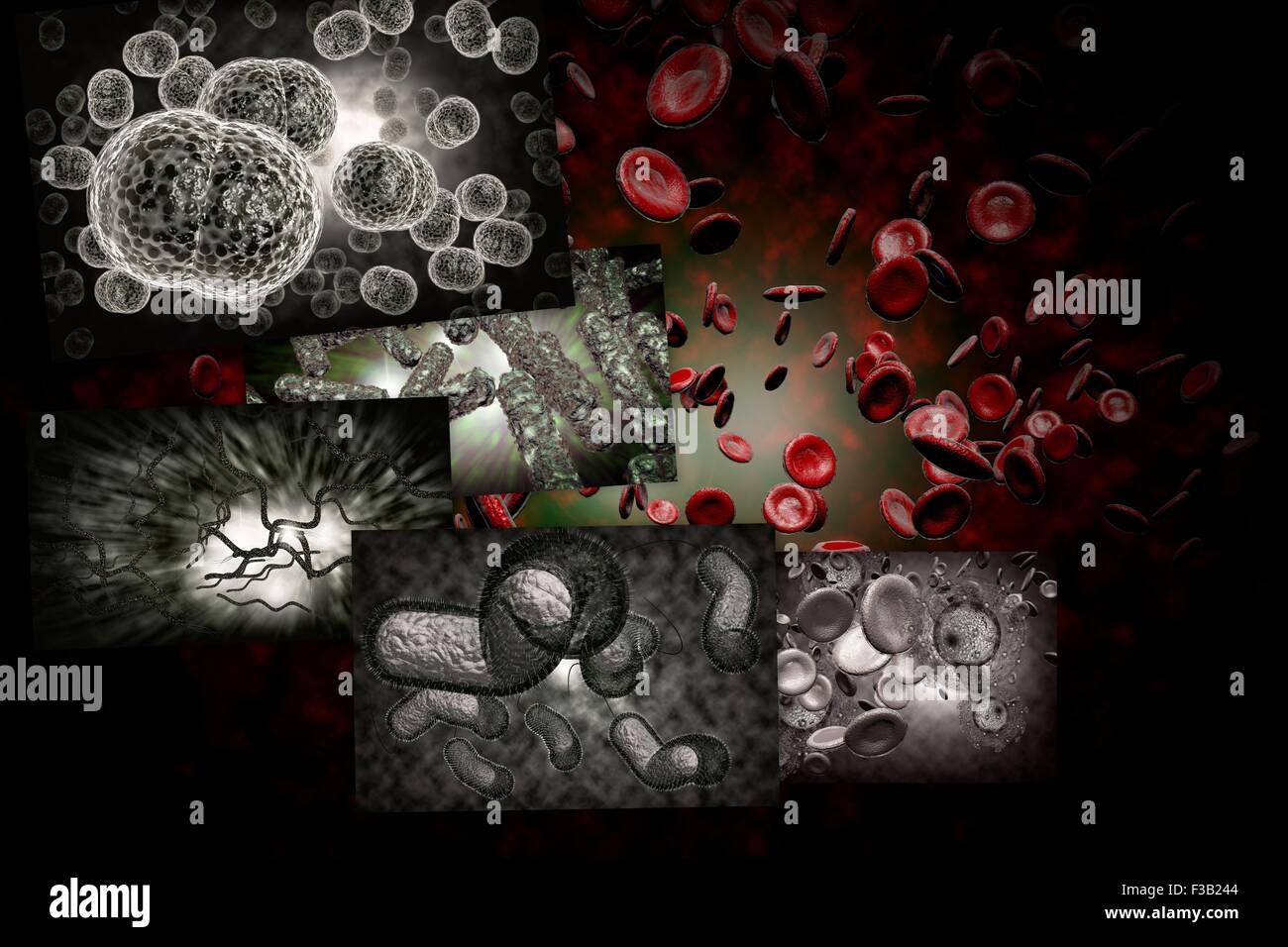 3D microscope close up of various bacteria in collage imagery Stock ...