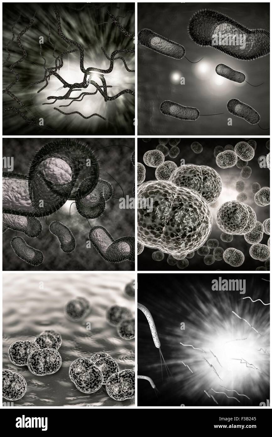 3D microscope close up of various bacteria in collage imagery Stock ...