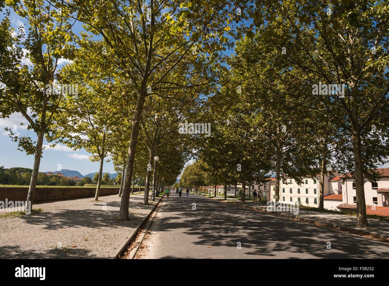 Lucca city wall and walk hi-res stock photography and images - Alamy