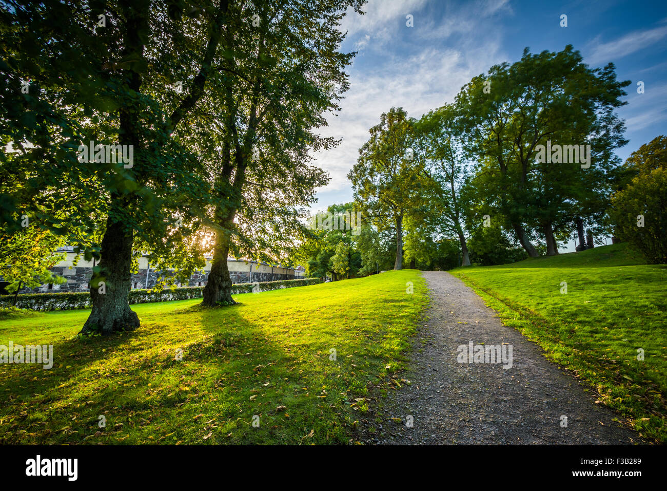 Trees along a path at Suomenlinna, in Helsinki, Finland Stock Photo - Alamy