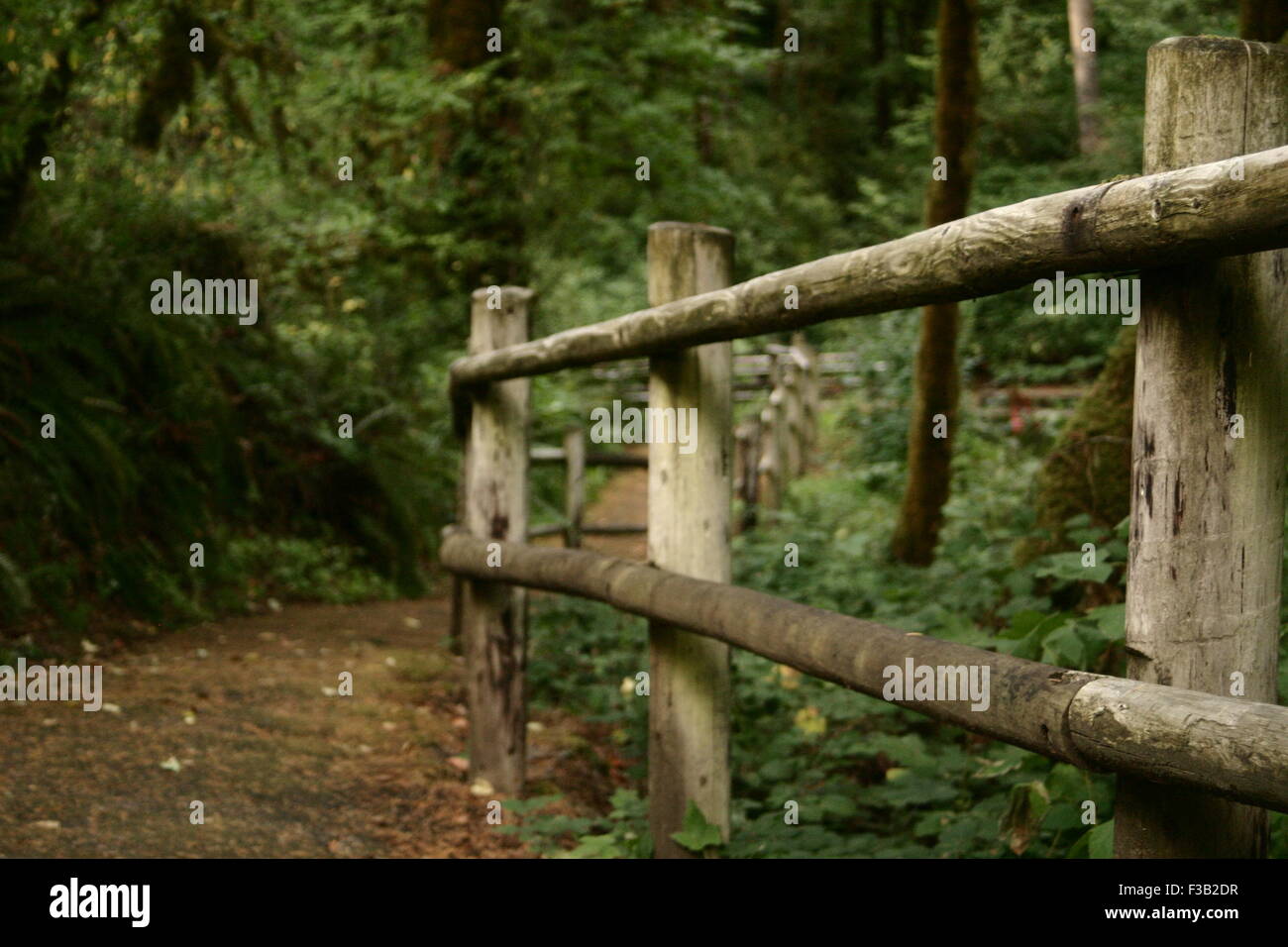 Cascadia State Park, Oregon Stock Photo - Alamy