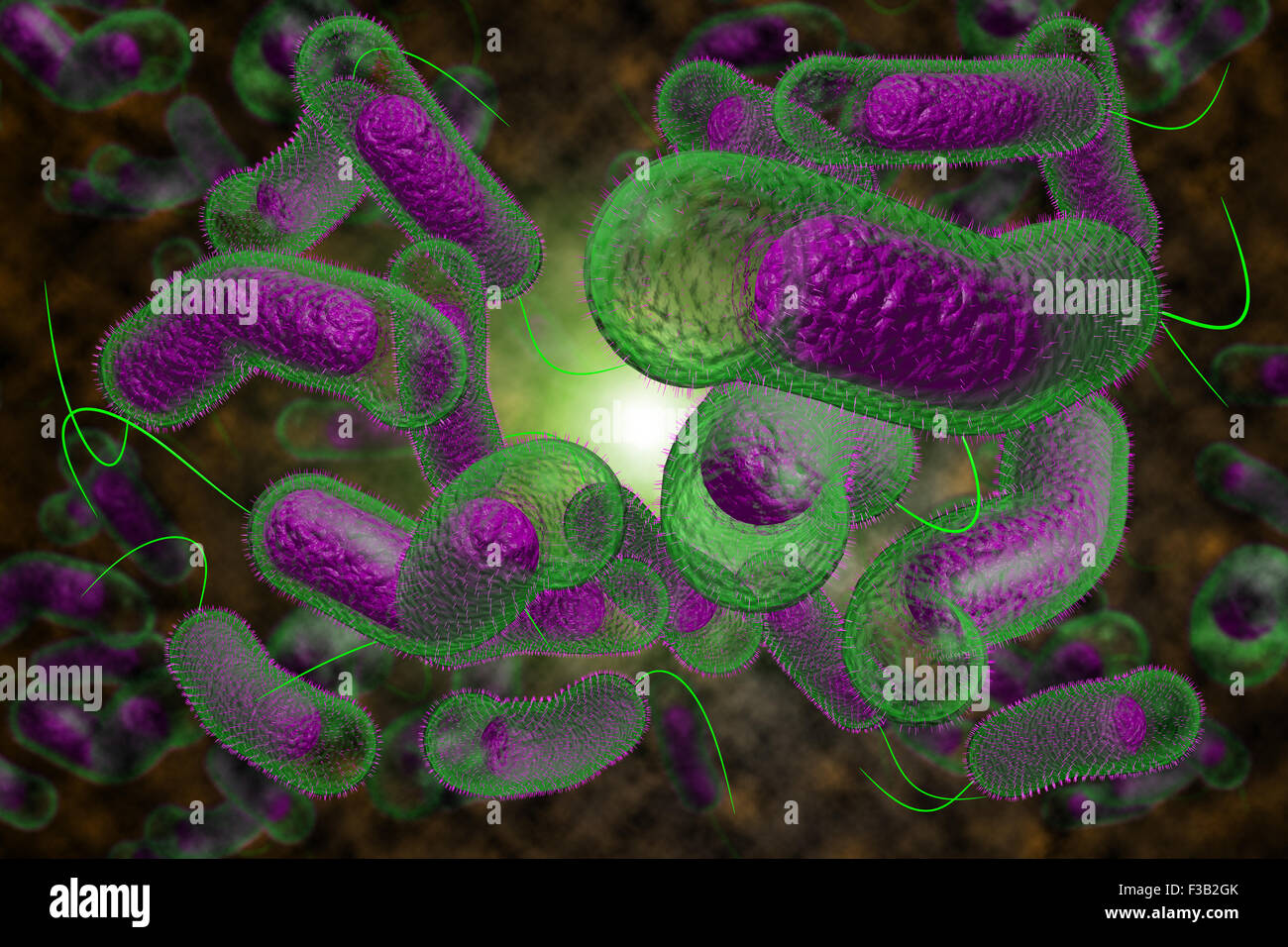 Close up 3D illustration of microscopic Cholera bacteria infection ...