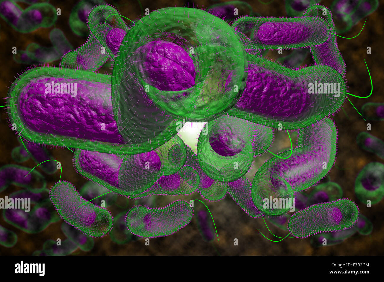 Close up 3D illustration of microscopic Cholera bacteria infection ...