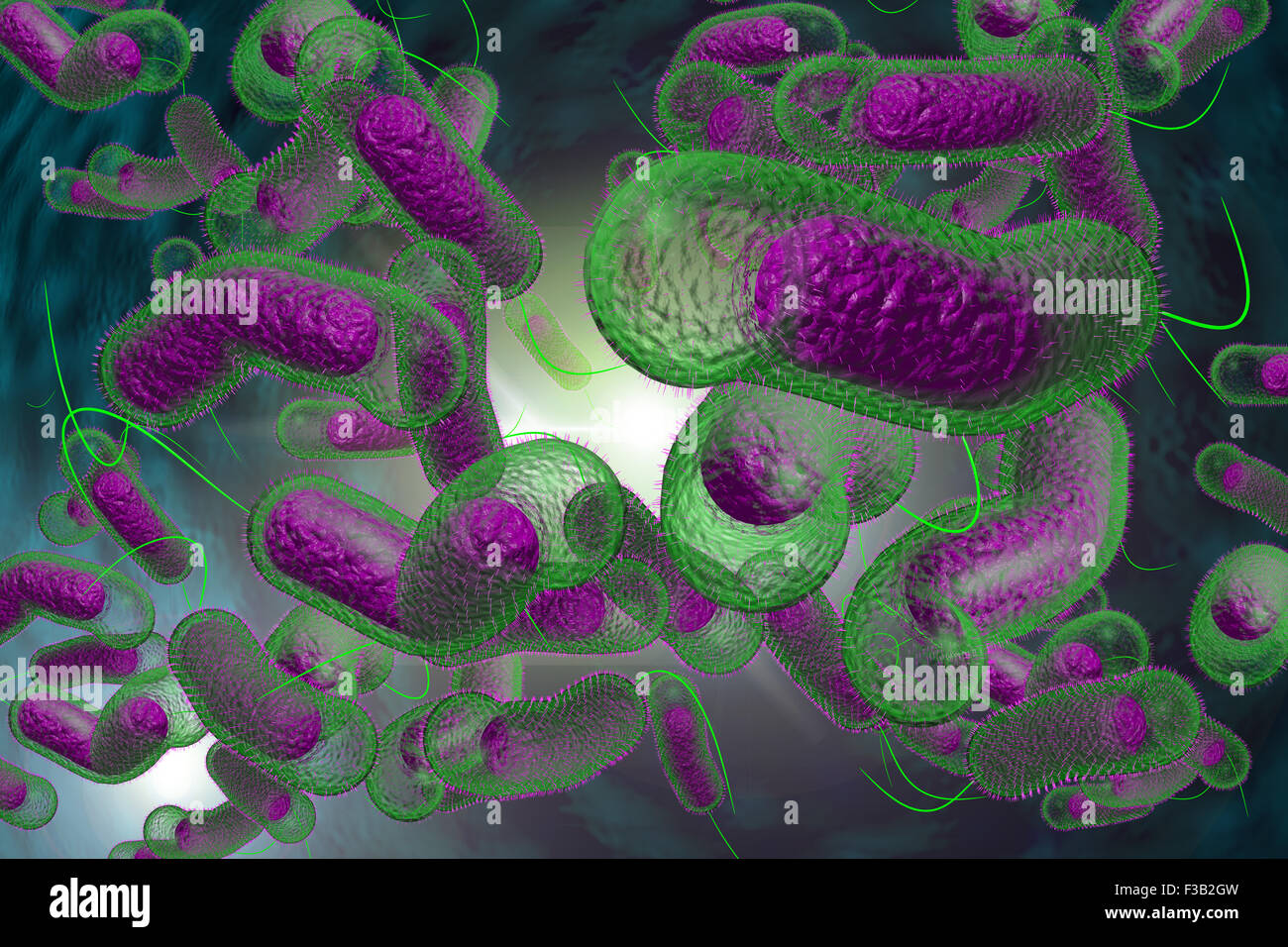 Vibrio Cholerae Bacterium Stock Photos & Vibrio Cholerae Bacterium ...