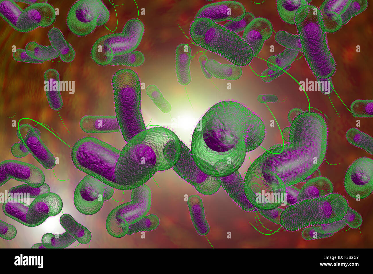 Close up 3D illustration of microscopic Cholera bacteria infection ...