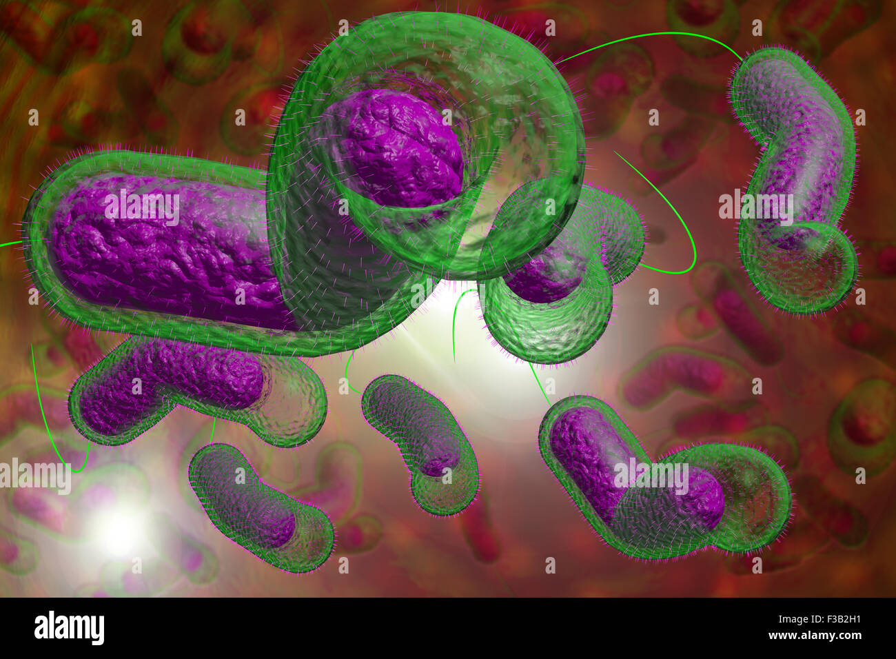 Close up 3D illustration of microscopic Cholera bacteria infection ...